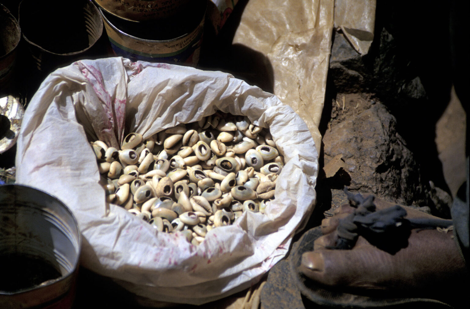 Cowries, the currency that powered West Africa - ADP ReThink Q